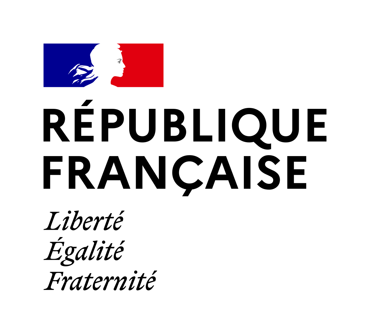 Impression bulletins de vote pour les élections municipales 2026